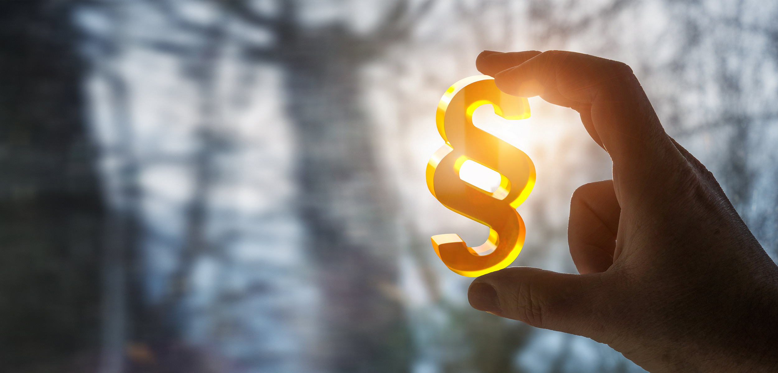 Bachner Elektro GmbH & Co. KG